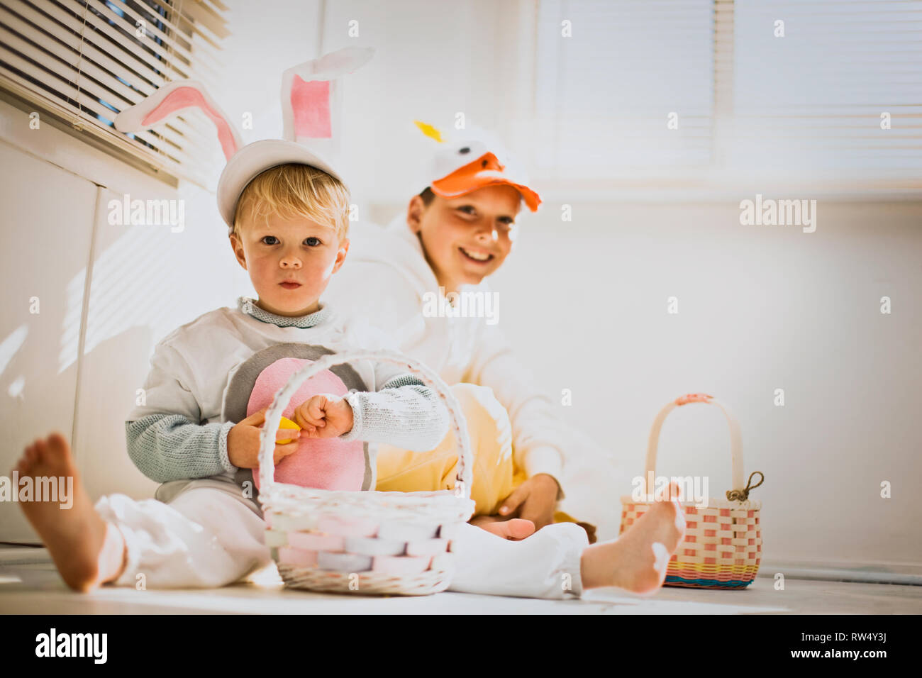 10 Ducklings High Resolution Stock Photography and Images - Alamy