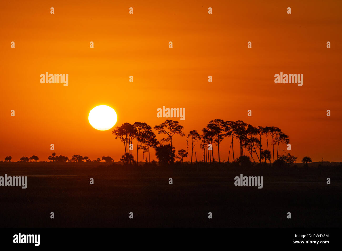 Florida gulf coastal plains hi-res stock photography and images - Alamy