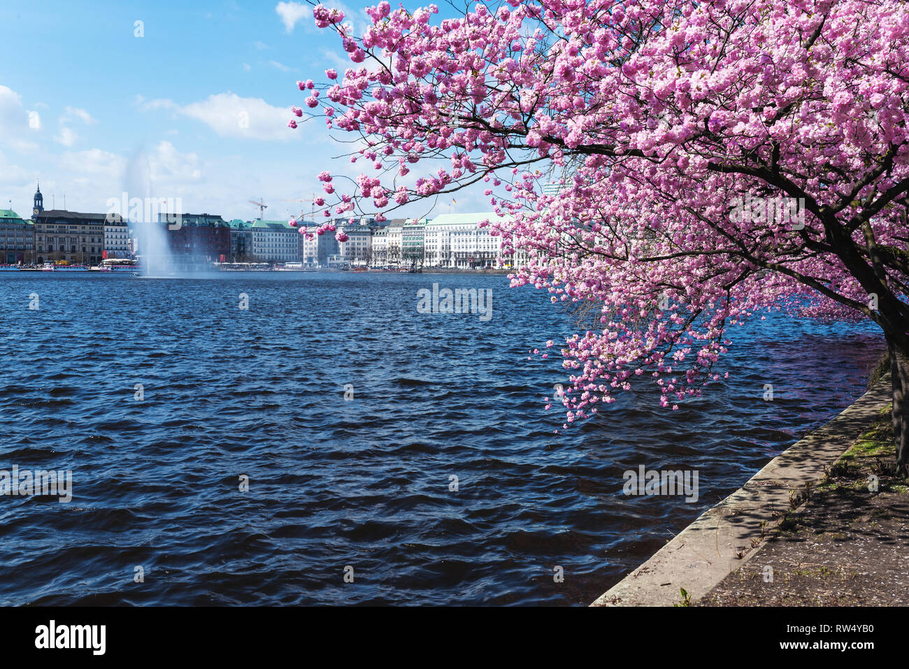 Hamburg alster day hi-res stock photography and images - Alamy