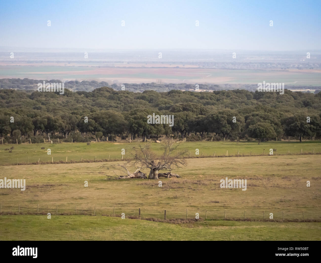 Dry grassland spain hi-res stock photography and images - Alamy