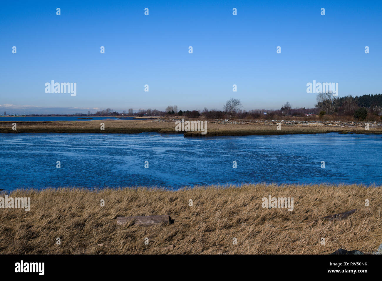 Mud Bay Park in Surrey, British Columbia, Canada Stock Photo - Alamy