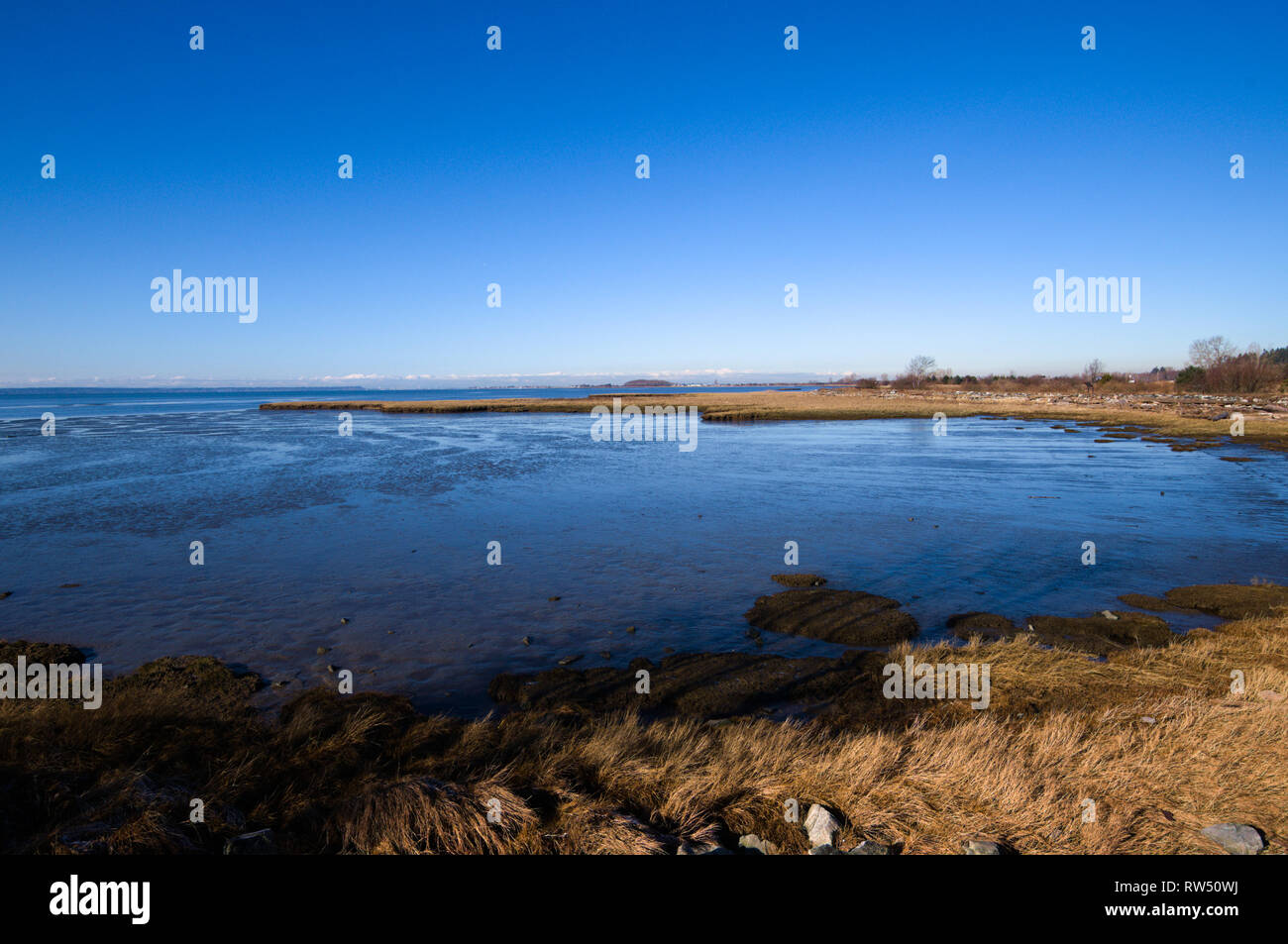 Mud Bay Park in Surrey, British Columbia, Canada Stock Photo - Alamy