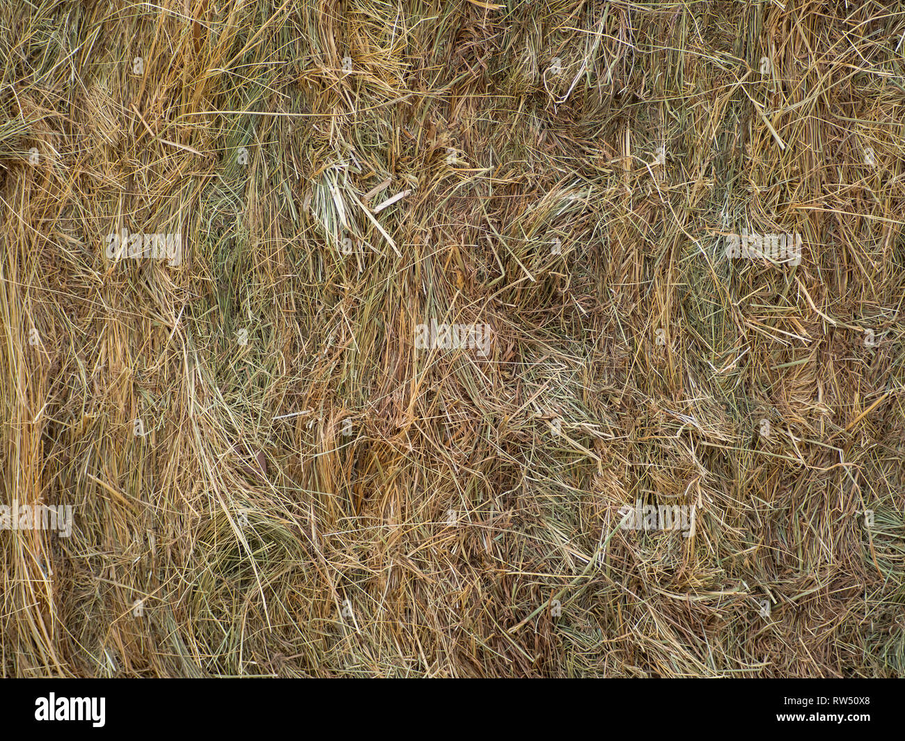 Abstract natural texture background of hay bale Stock Photo - Alamy