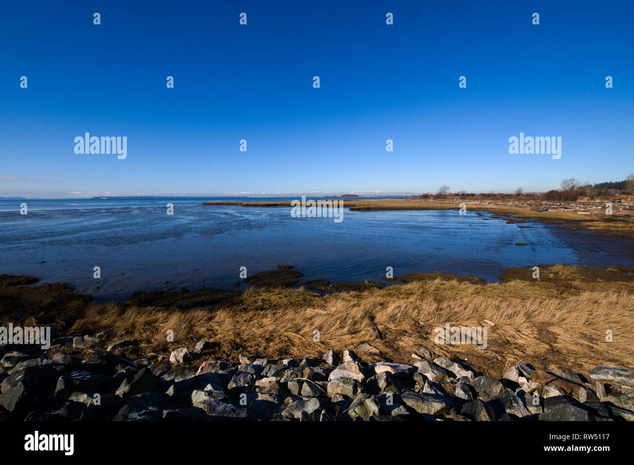 Mud Bay Park in Surrey, British Columbia, Canada Stock Photo - Alamy