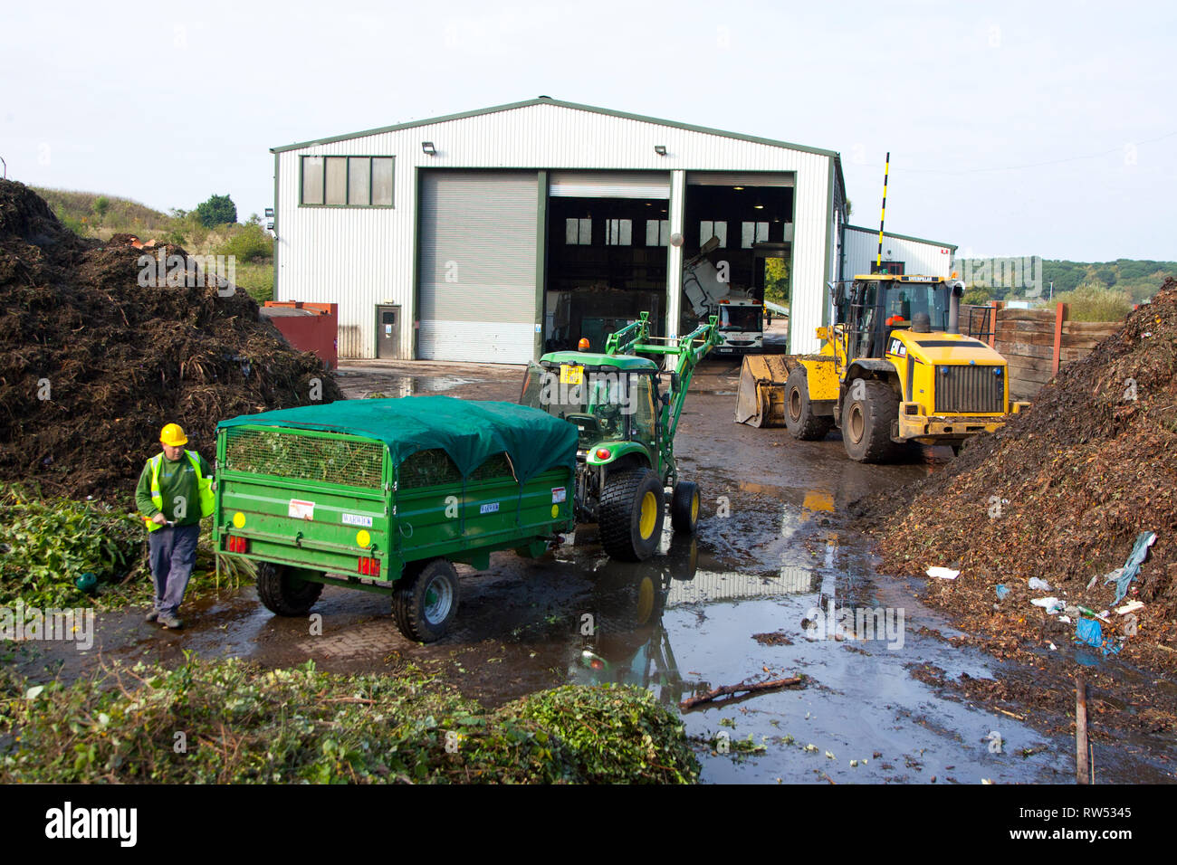 waste, rubbish, recycle, garbage, plant, collection, green, bin, wood ...