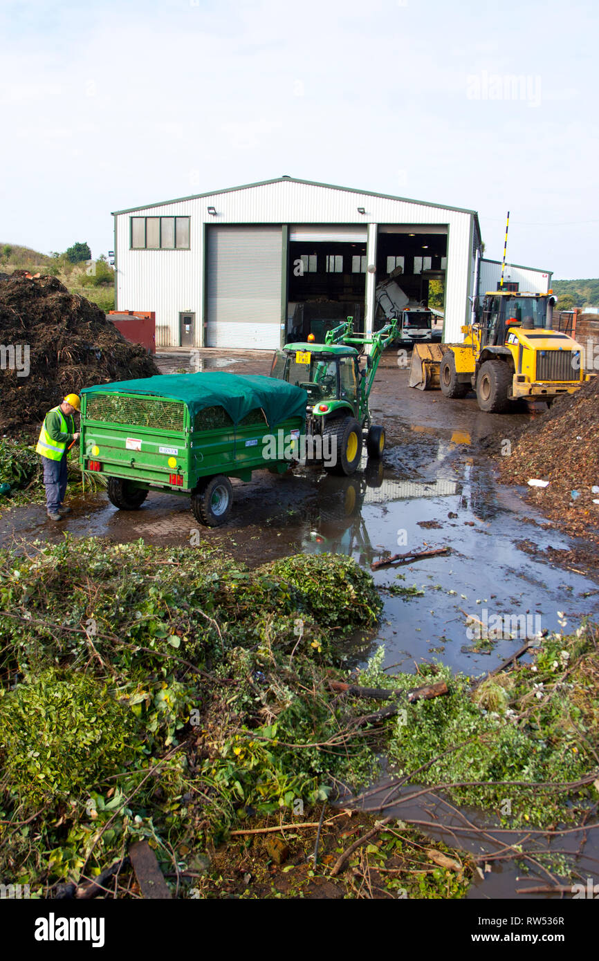 waste, rubbish, recycle, garbage, plant, collection, green, bin, wood ...