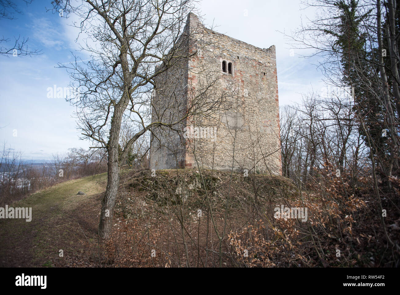 wartenberg ruine in switzerland Stock Photo - Alamy