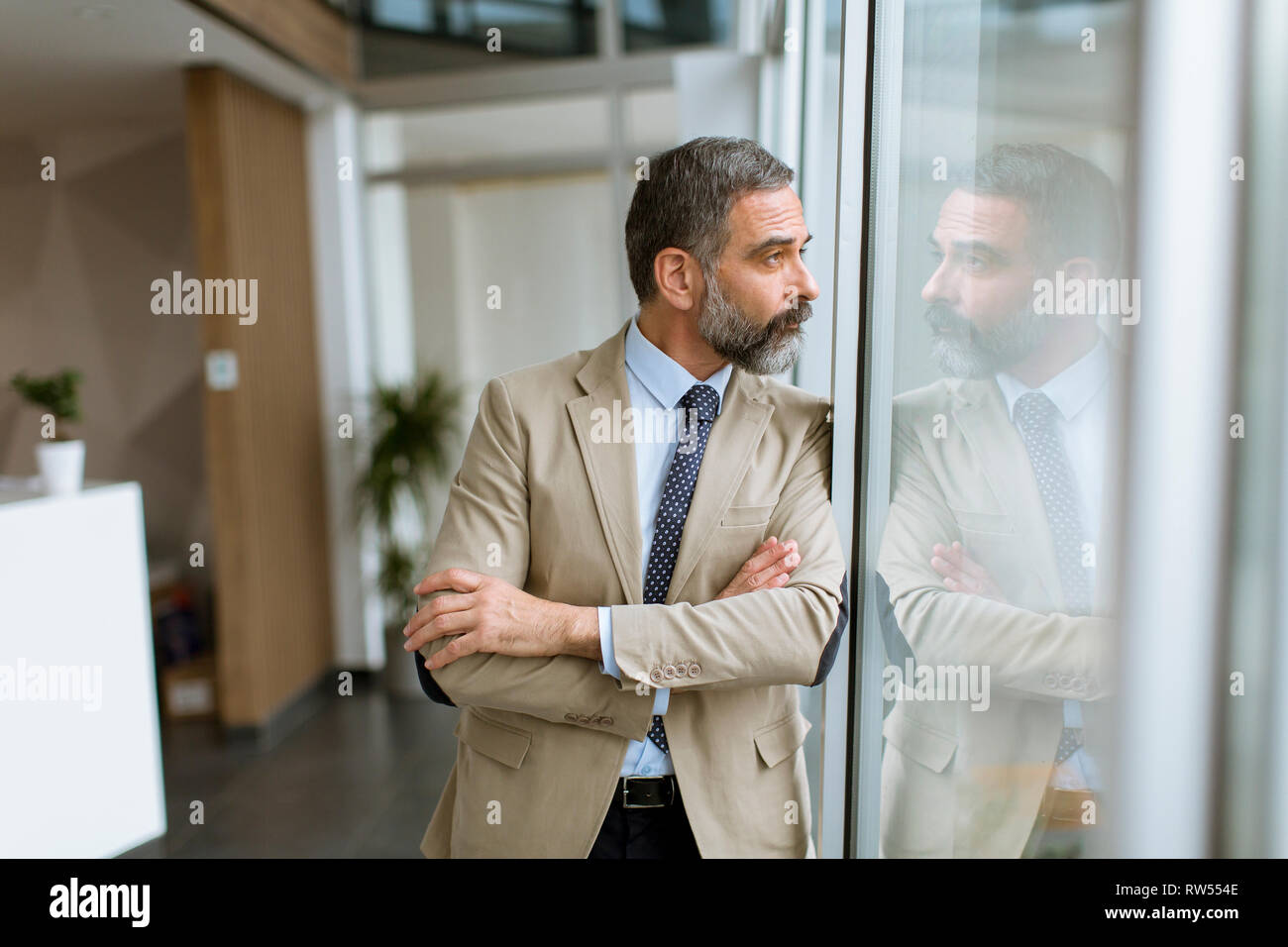 Portrait of senior businessman by the window in the office Stock Photo ...