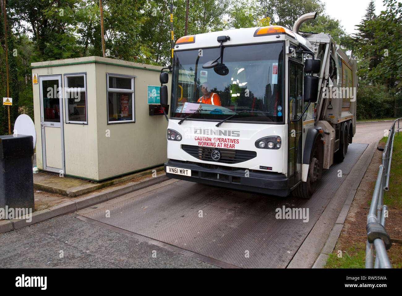 waste, rubbish, recycle, garbage, plant, collection, green, bin, wood ...