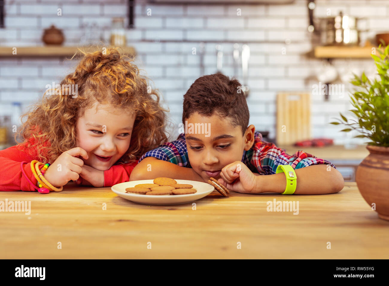 Concentrated brunette boy taking biscuit from plate Stock Photo - Alamy