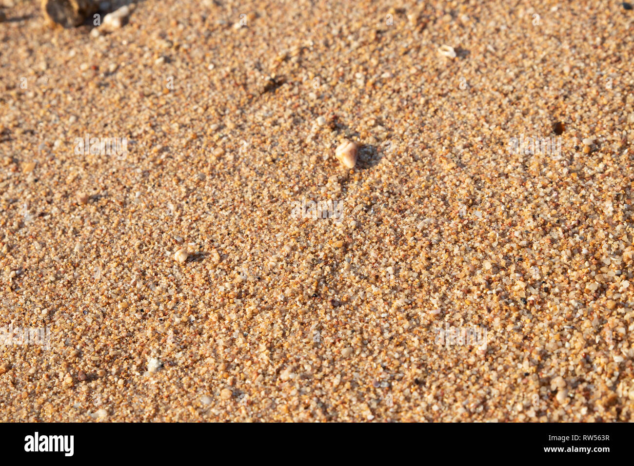 sand sand. on the seashore yellow sand Stock Photo - Alamy