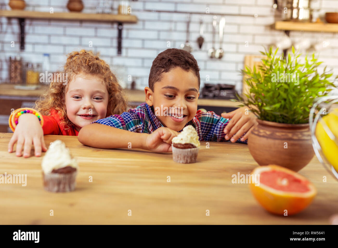 Cheerful brunette boy going to eat his cake Stock Photo - Alamy