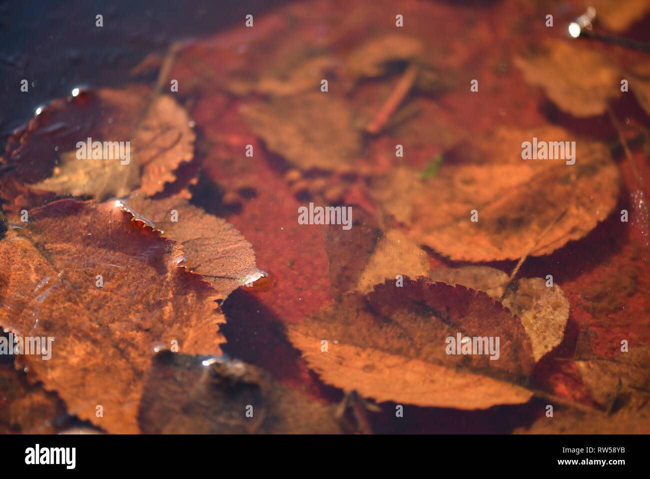 Sunken Bath High Resolution Stock Photography and Images - Alamy