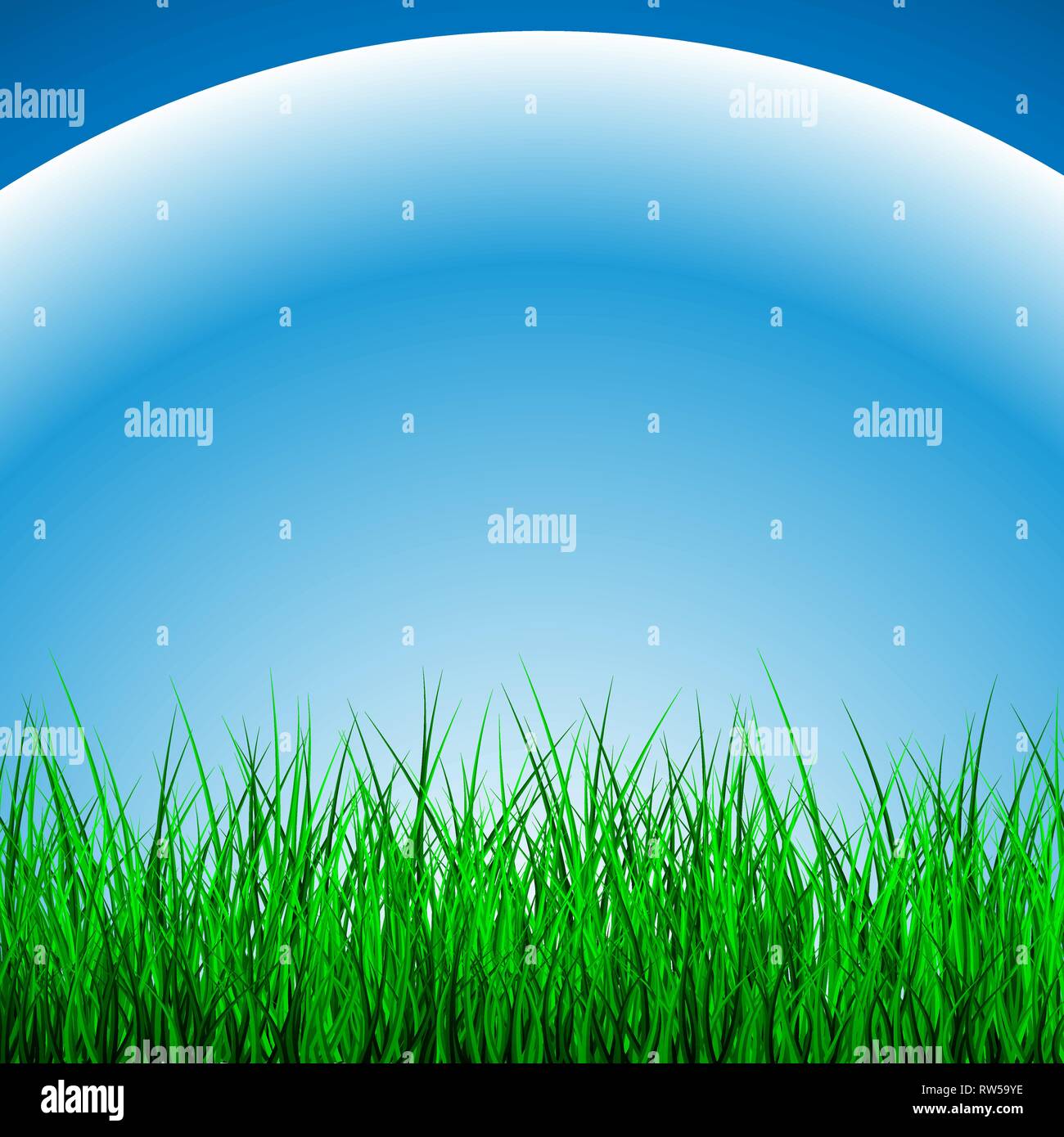 Hello Spring Poster With green grass and blue sky, Vector Illustration ...
