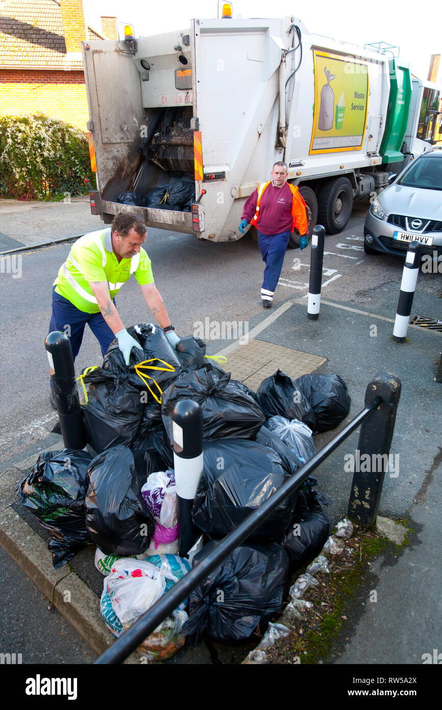 waste, rubbish, recycle, garbage, plant, collection, green, bin, wood ...
