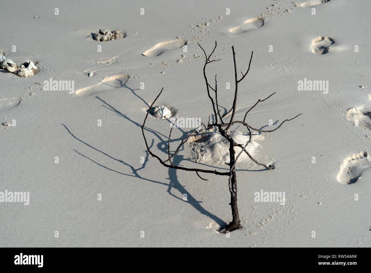 plastic and rubbish on desert tropical island paradise sandy beach ...