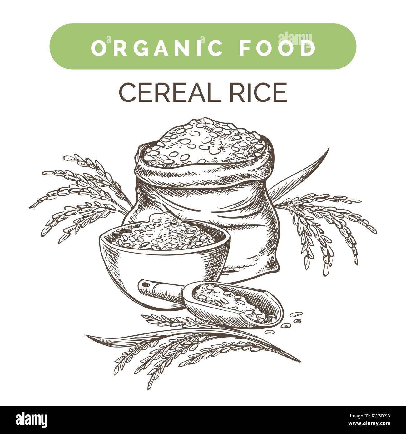 Rices seed Stock Vector Images - Alamy