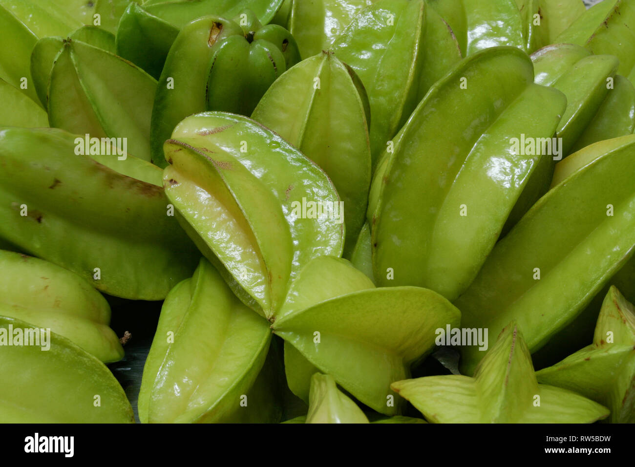 Fresh carambola fruit (Averrhoa carambola) a.k.a. star fruit; organic ...