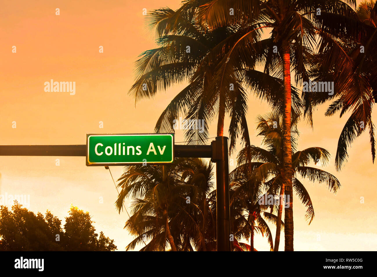 Miami Beach, Florida. January 05, 2018 Collins Ave. sign and palms ...