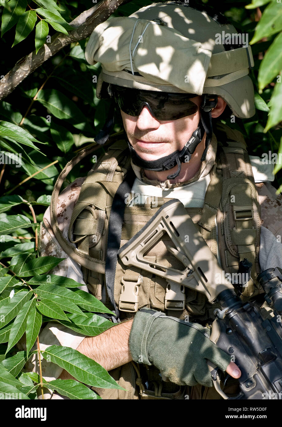 Jungle foliage hi-res stock photography and images - Alamy