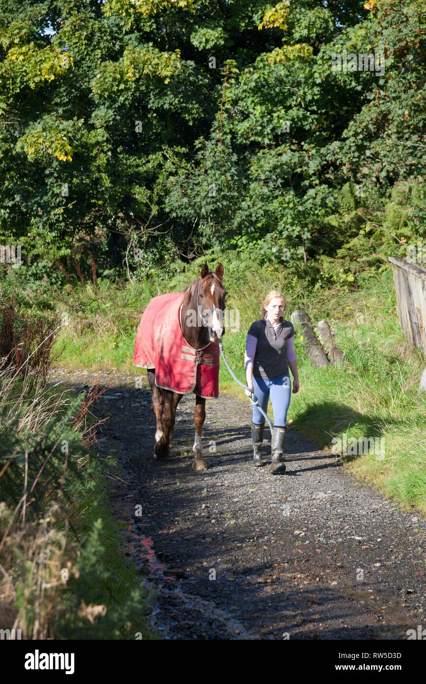 Pony stables hi-res stock photography and images - Alamy