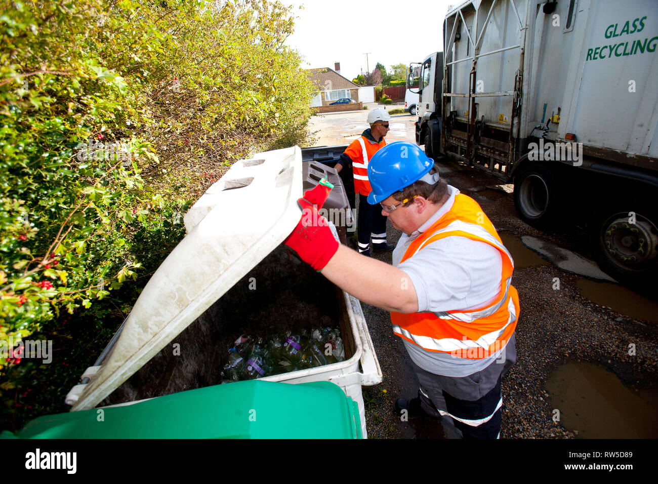 waste, rubbish, recycle, garbage, plant, collection, green, bin, wood ...