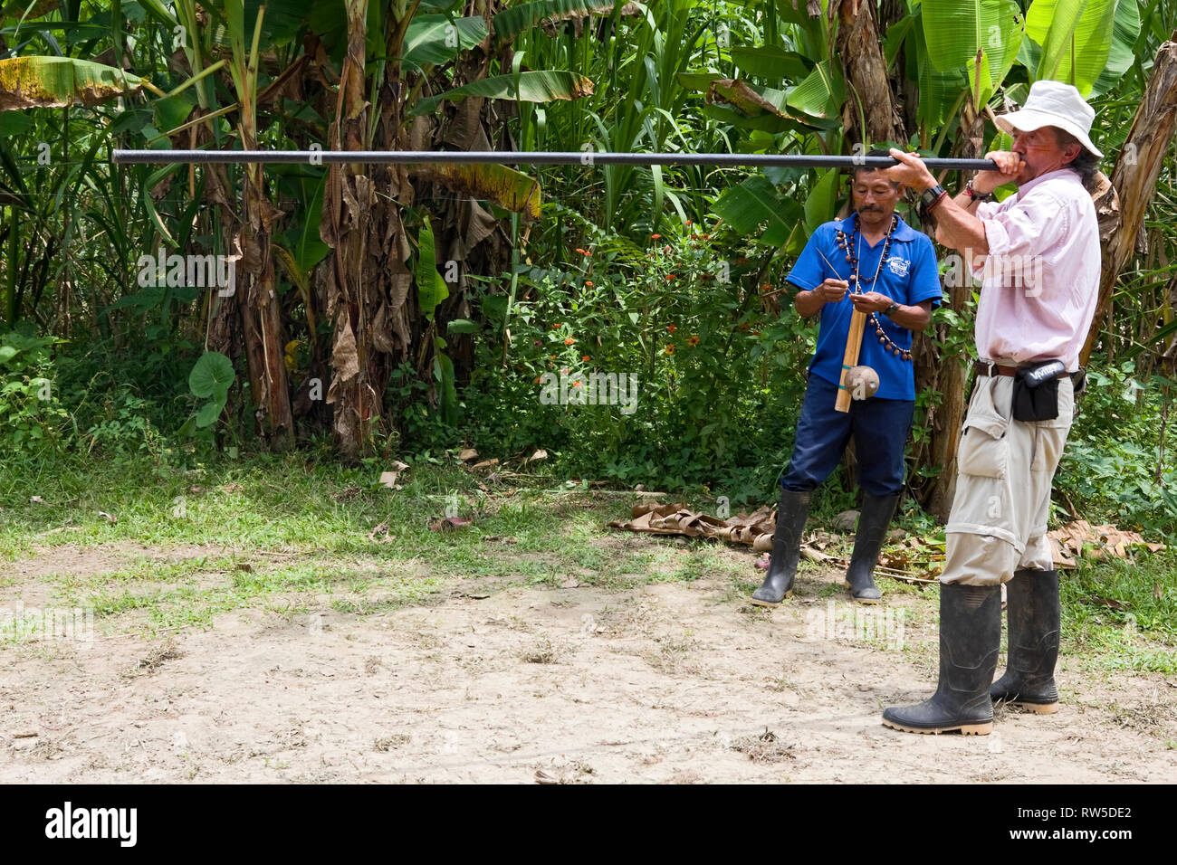 man using blowgun; practice; indigenous man watching; jungle; rubber ...