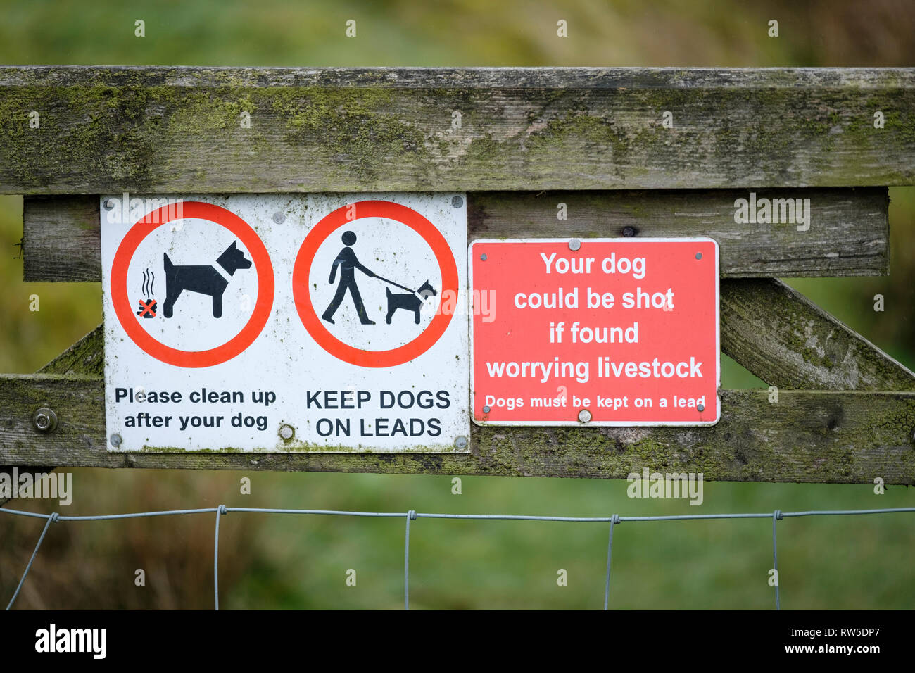 Dog Control signs on Haworth Moor, Bronte Country, Haworth, West ...
