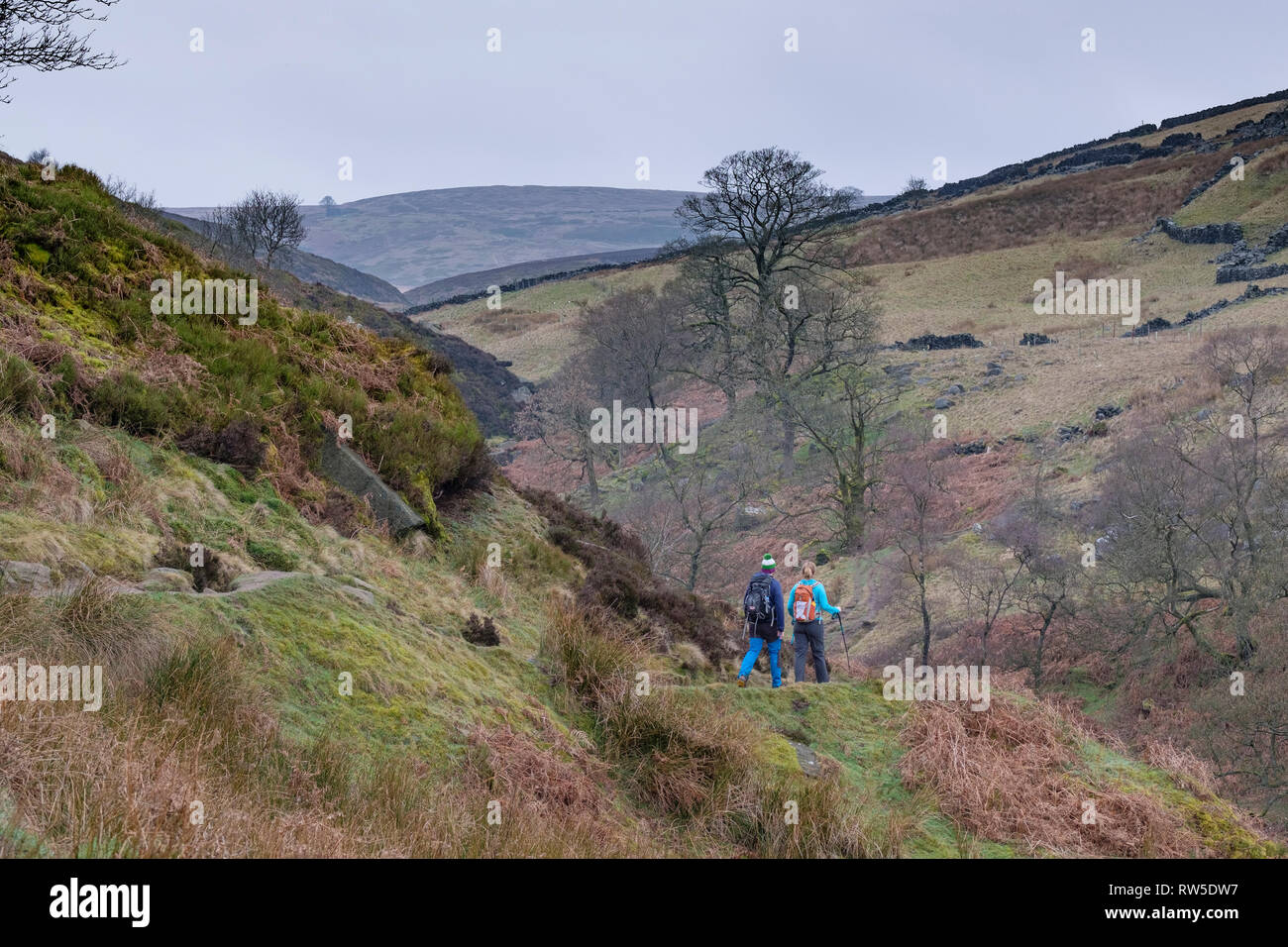 The Bronte Way, Leading to the Top Withins on Haworth Moor, West ...