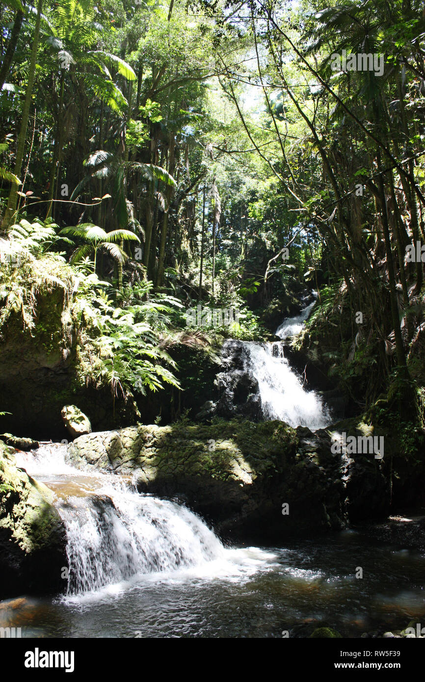 Onomea falls hi-res stock photography and images - Alamy