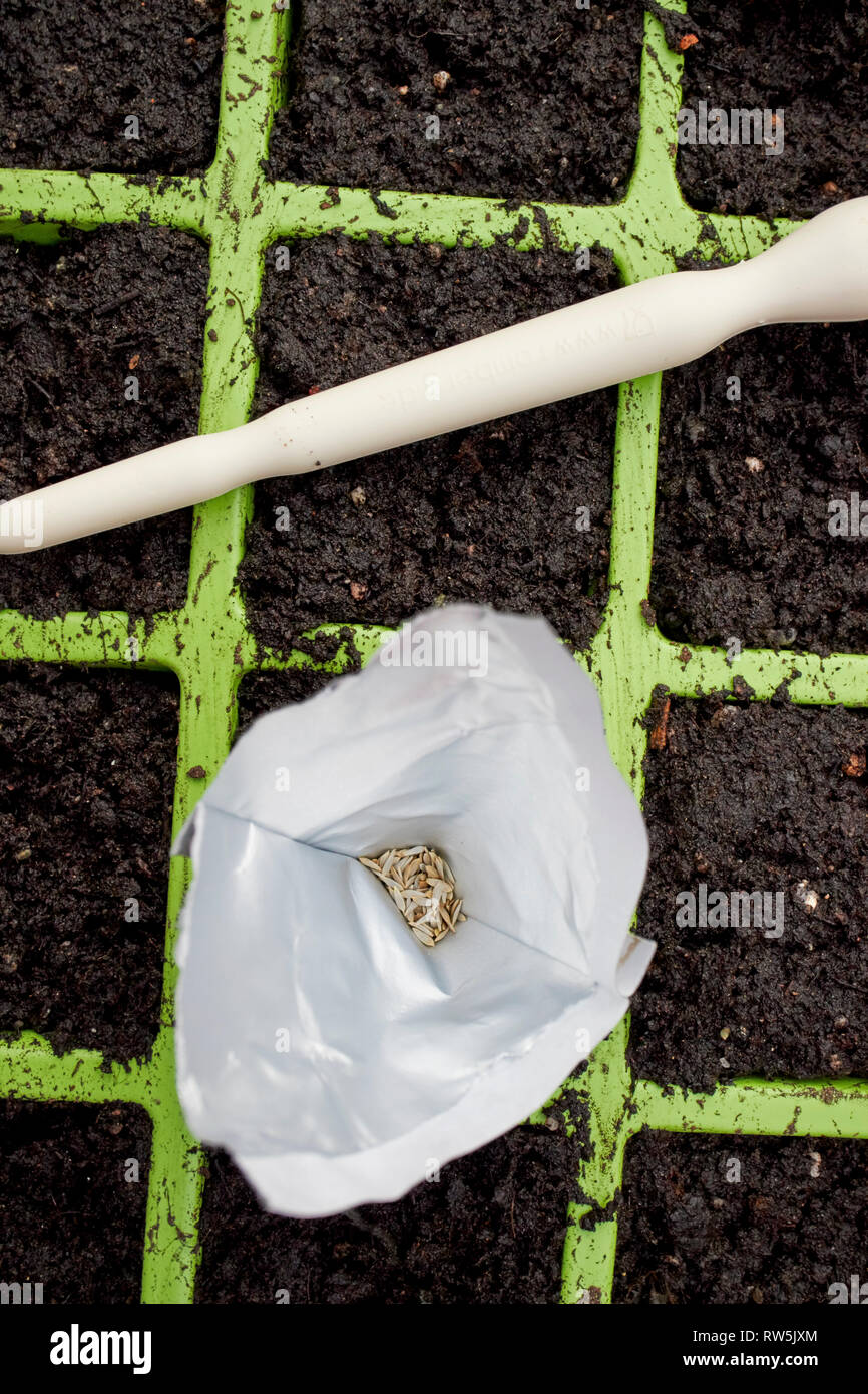 Packets of seed spring uk garden hi-res stock photography and images ...