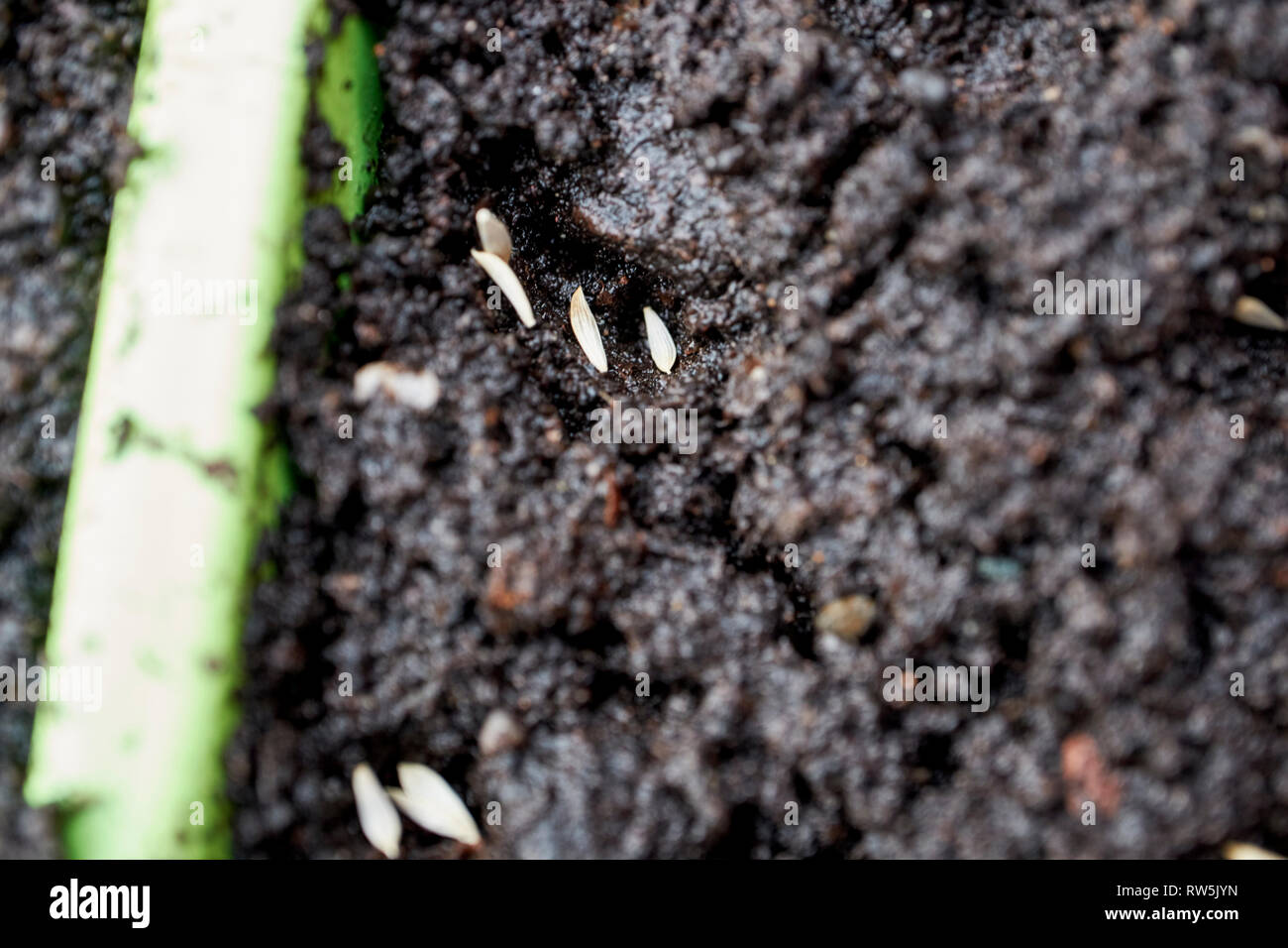 Compost Containers Spring High Resolution Stock Photography and Images ...
