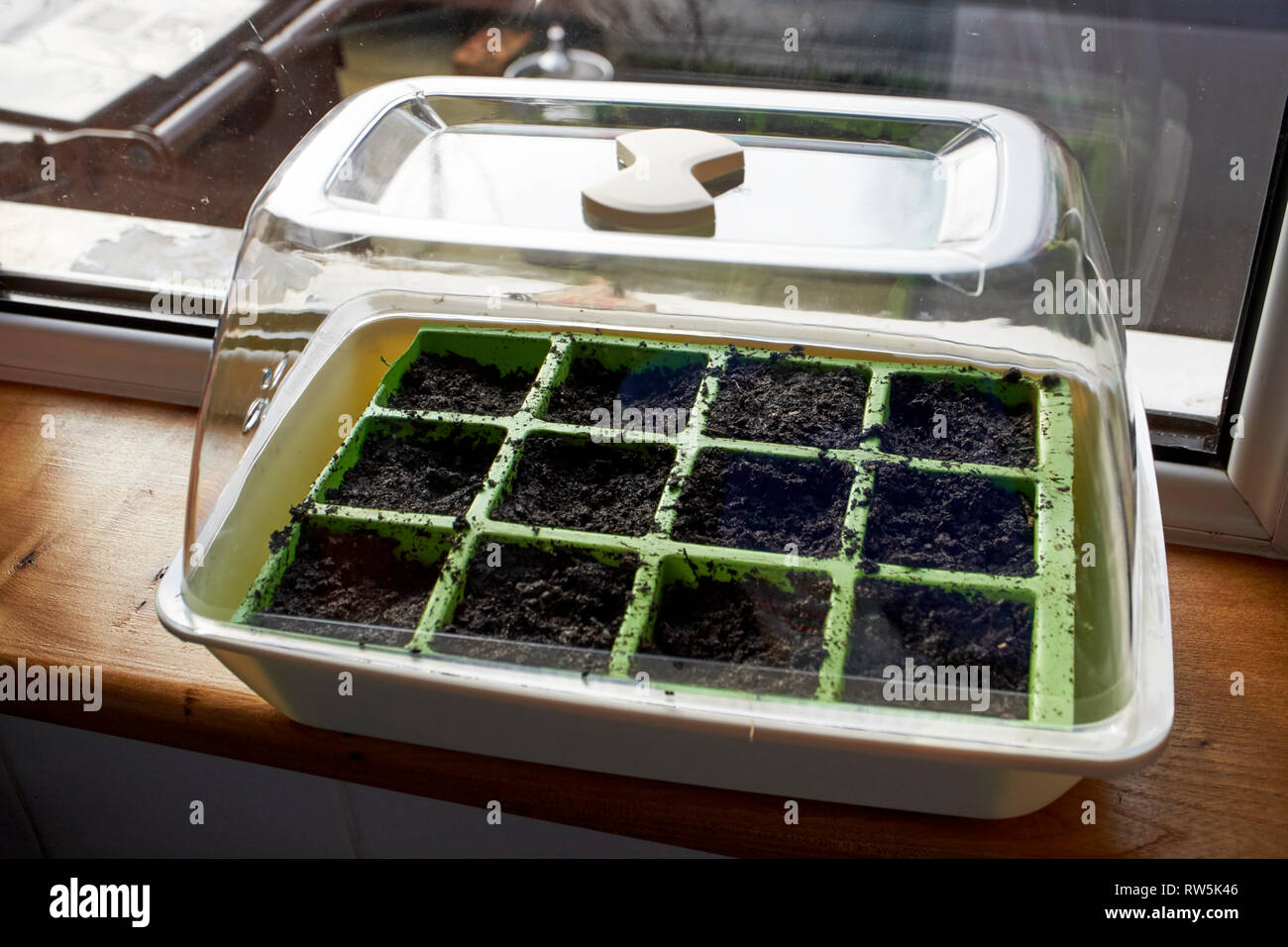 Veg seed propagator hi-res stock photography and images - Alamy
