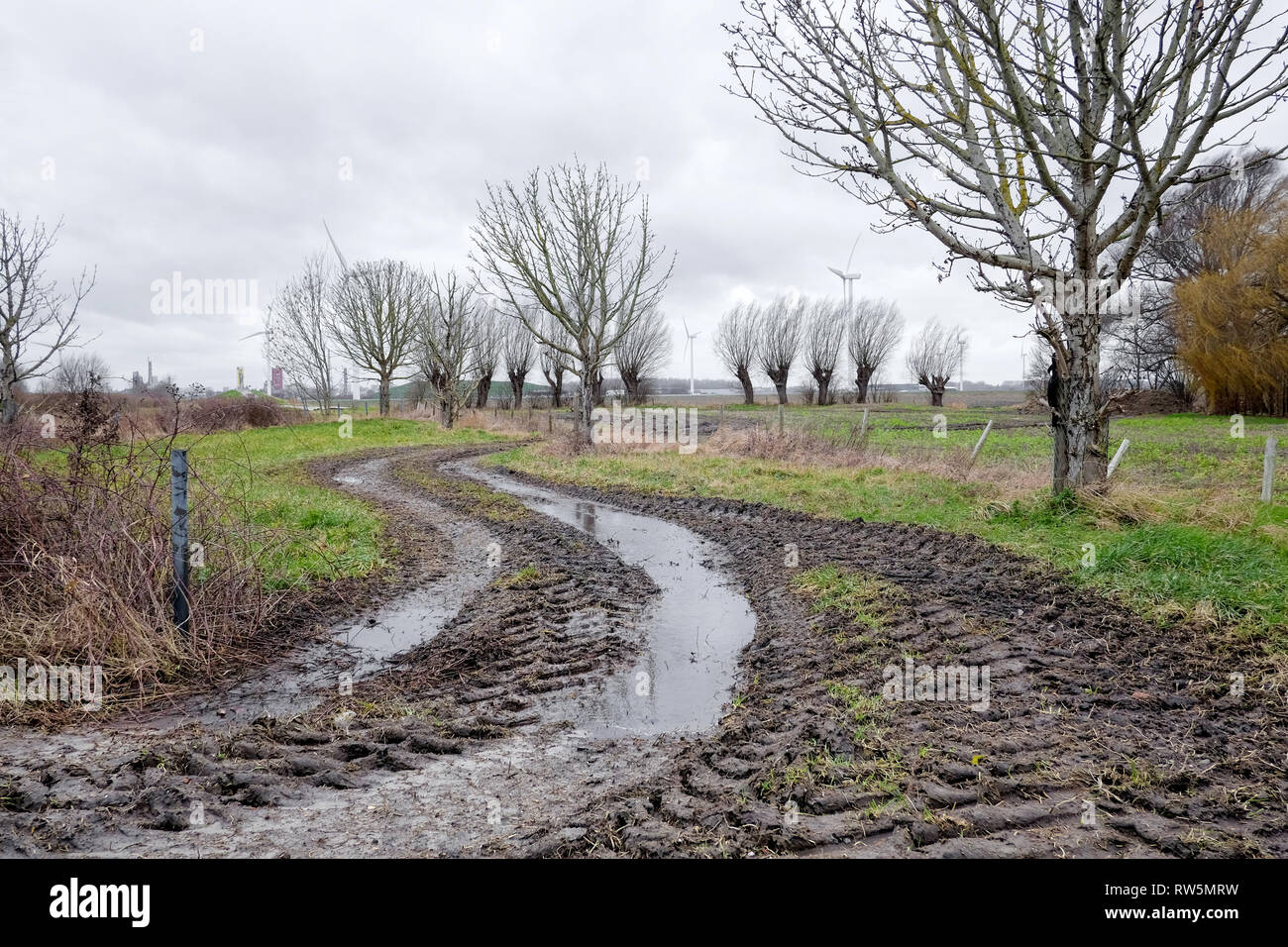 muddy road in a natural environment Stock Photo - Alamy