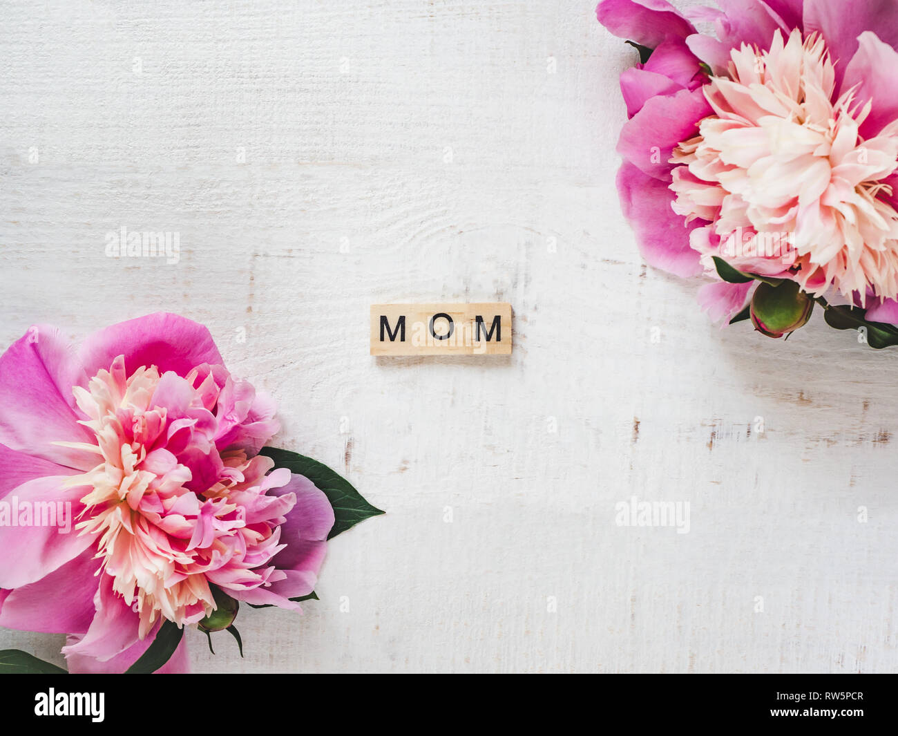 Colorful peonies and wooden letters of the alphabet in the form of the ...