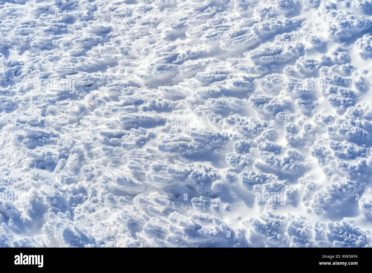 Winter landscape background. Detail view of snow texture Stock Photo ...