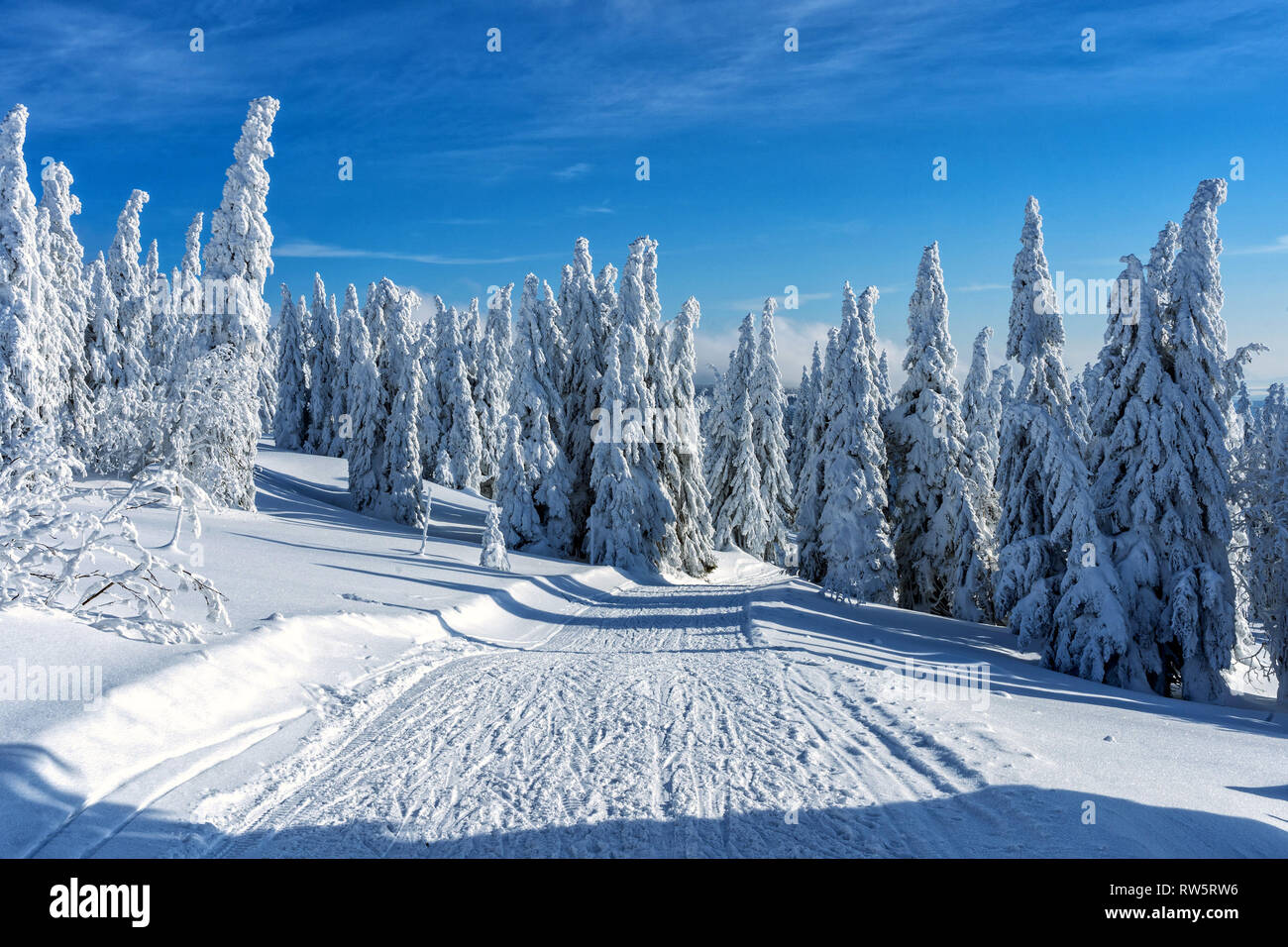 Beautiful winter sunny day on snowy mountains. Snow covered landscape ...
