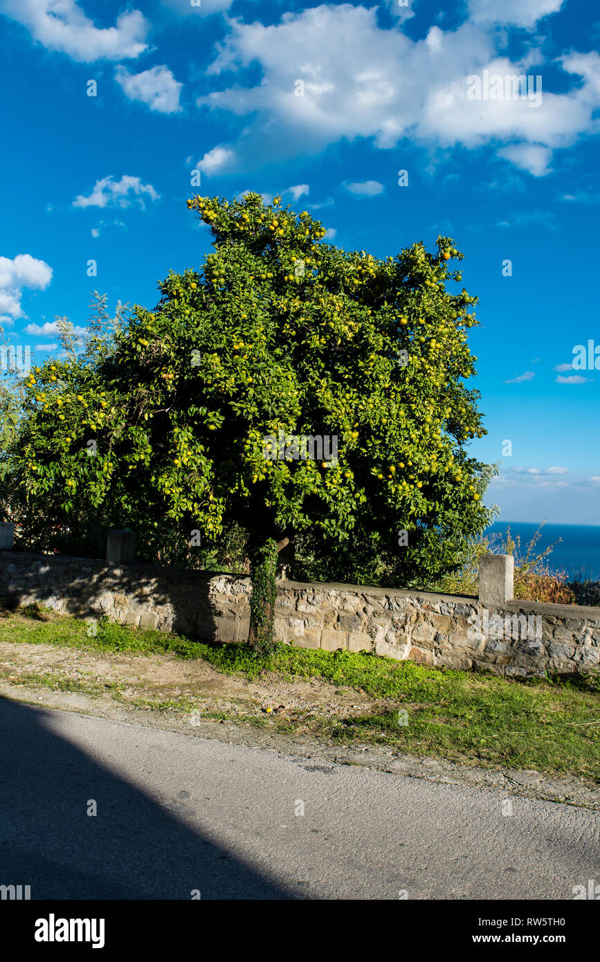 Kymi village hi-res stock photography and images - Alamy