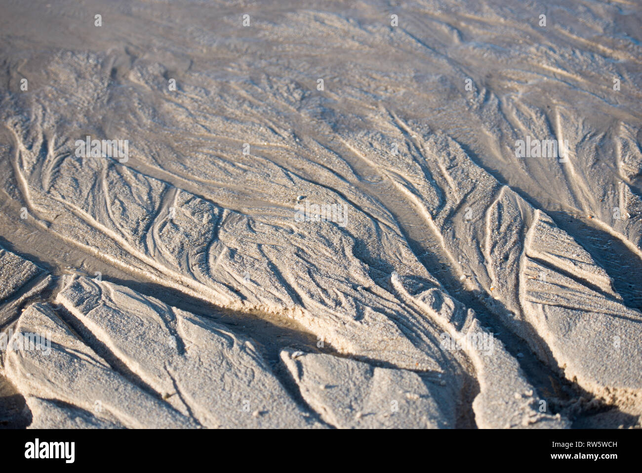 Sand beach resembling a tiny river delta system on a beach with mussel ...