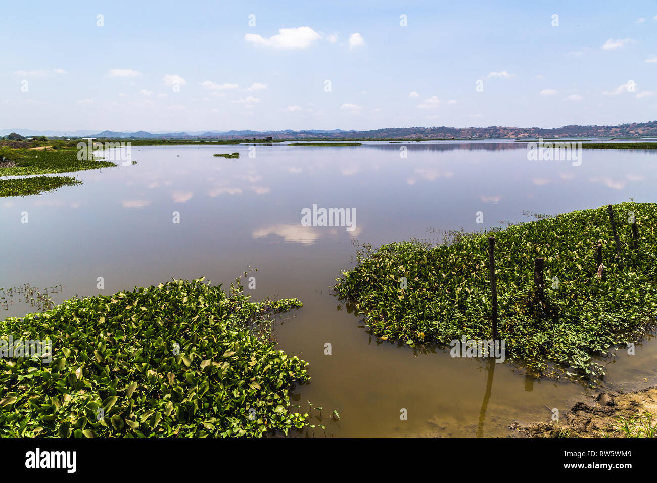 La Segua wetland, important Ramsar in the province of Manabi Stock ...