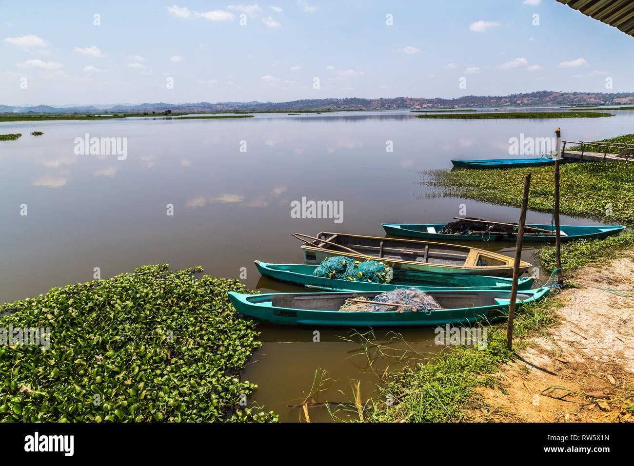 La Segua wetland, important Ramsar in the province of Manabi Stock ...