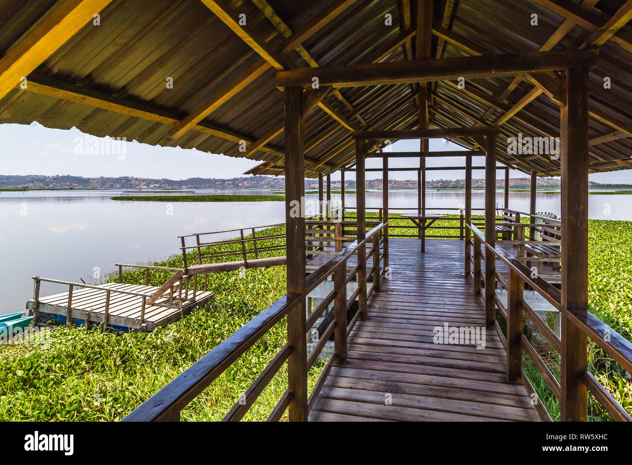 La Segua wetland, important Ramsar in the province of Manabi Stock ...