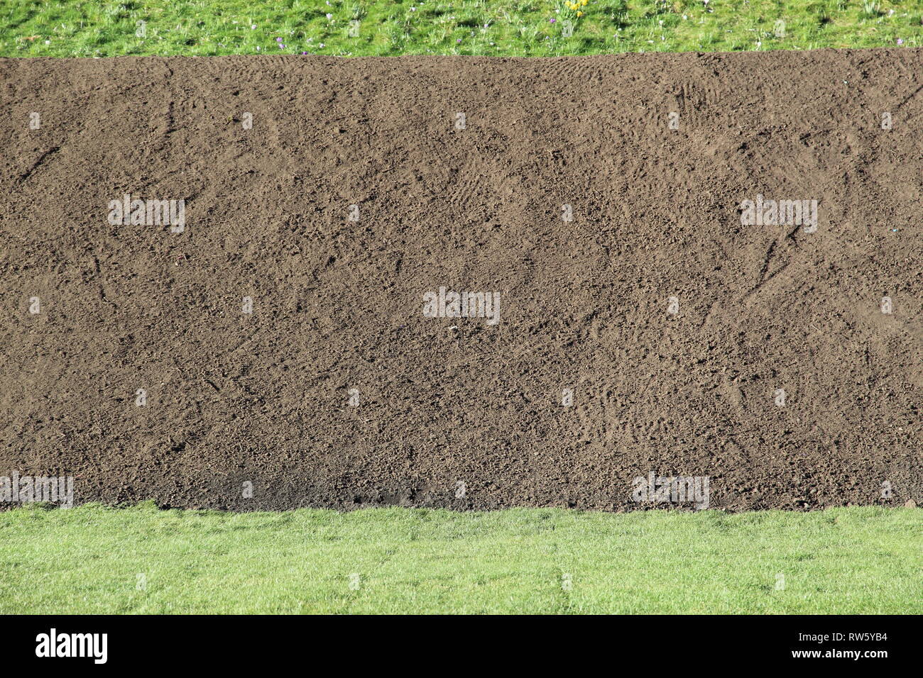 Lawn Turf and Soil Slope Stock Photo - Alamy