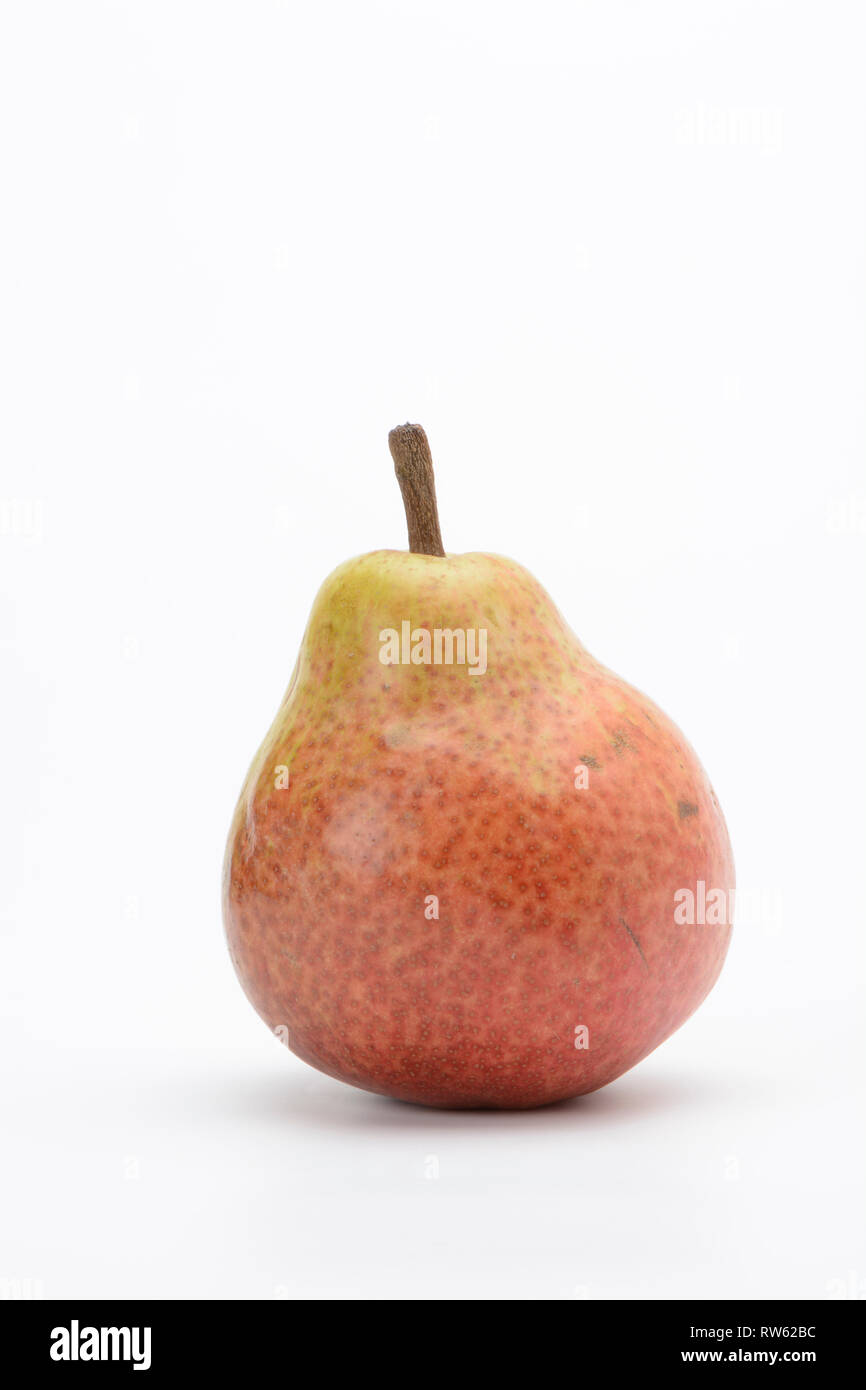 One red pear on white background Stock Photo - Alamy