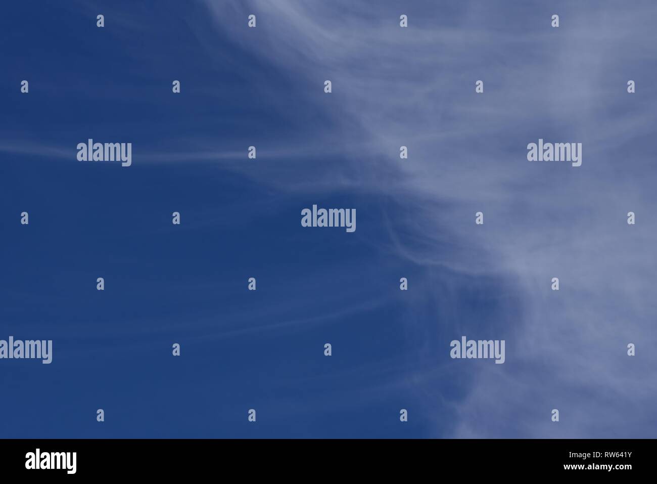 Tails Patterns High Resolution Stock Photography and Images - Alamy