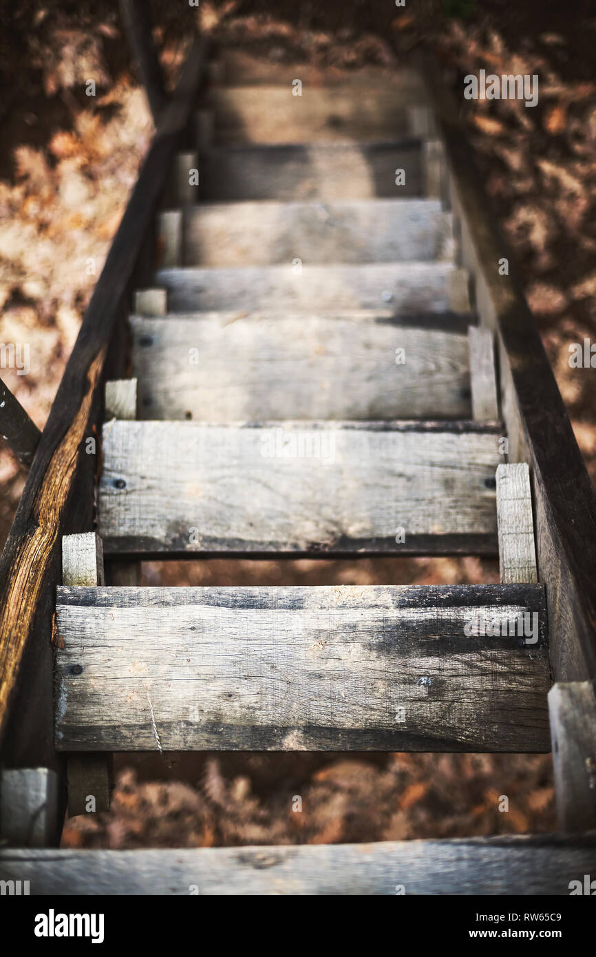 First step of staircase hi-res stock photography and images - Alamy