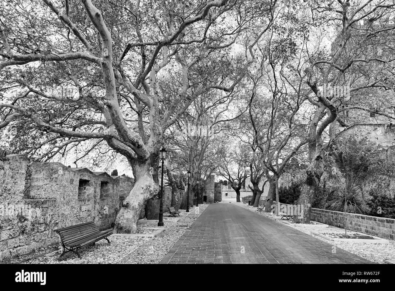 Right lined Black and White Stock Photos & Images - Alamy