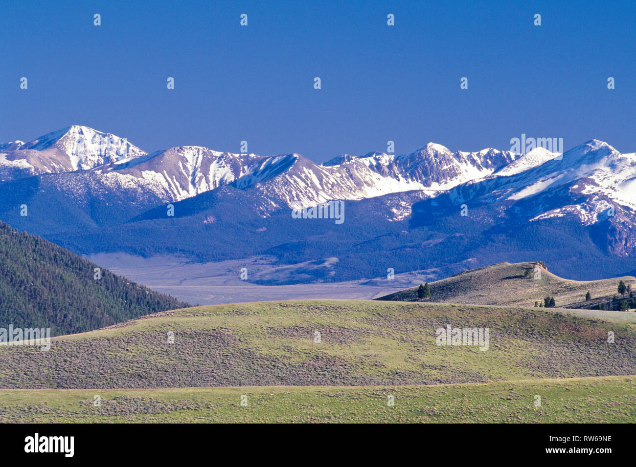 snow-capped peaks of the lemhi range viewed from bannock pass near ...
