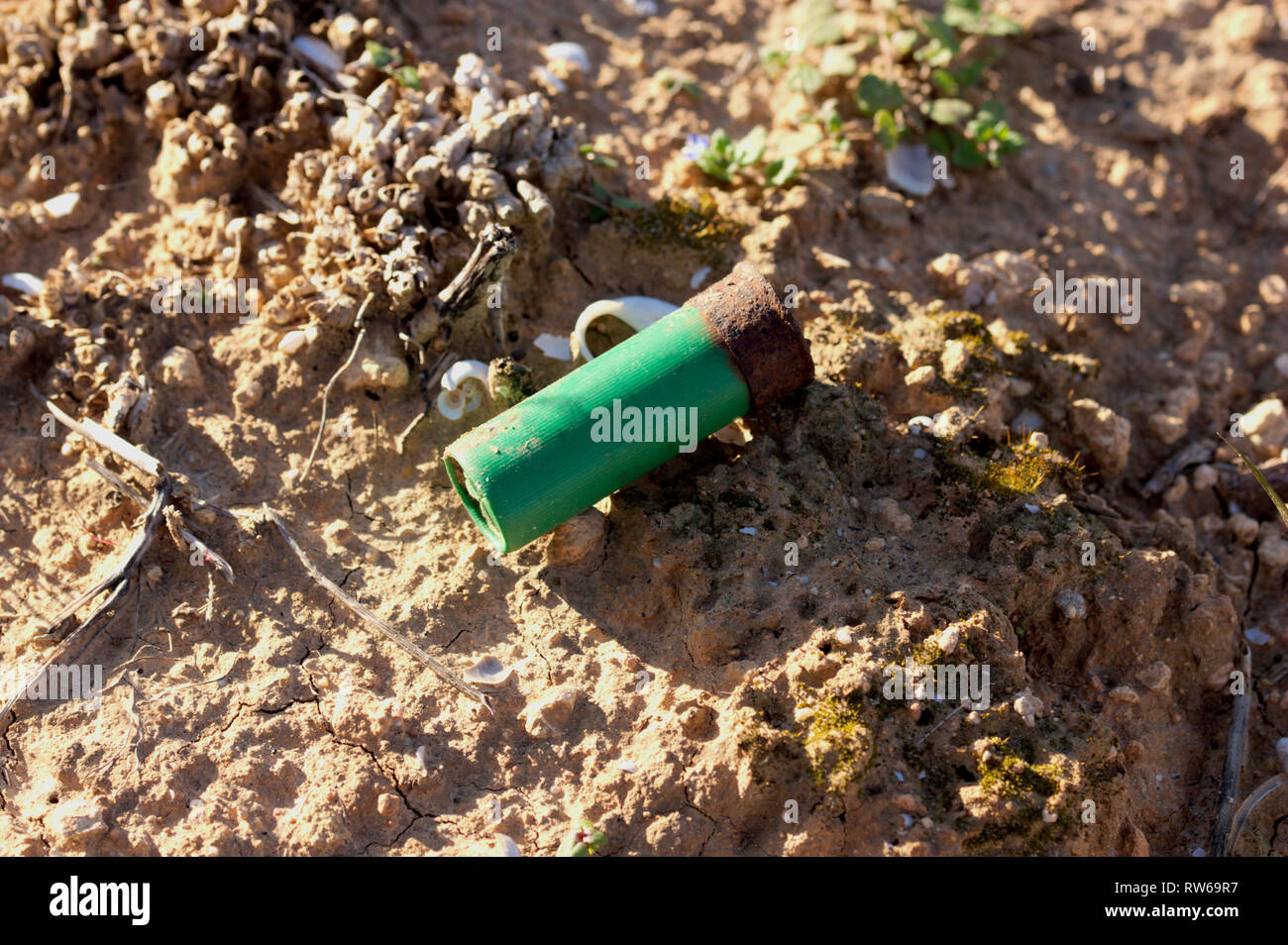 All Plastic Shotgun Cartridge High Resolution Stock Photography and ...