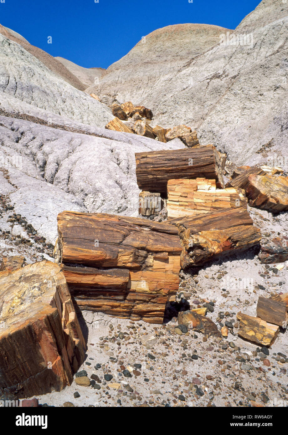 Sedimentary log hi-res stock photography and images - Alamy